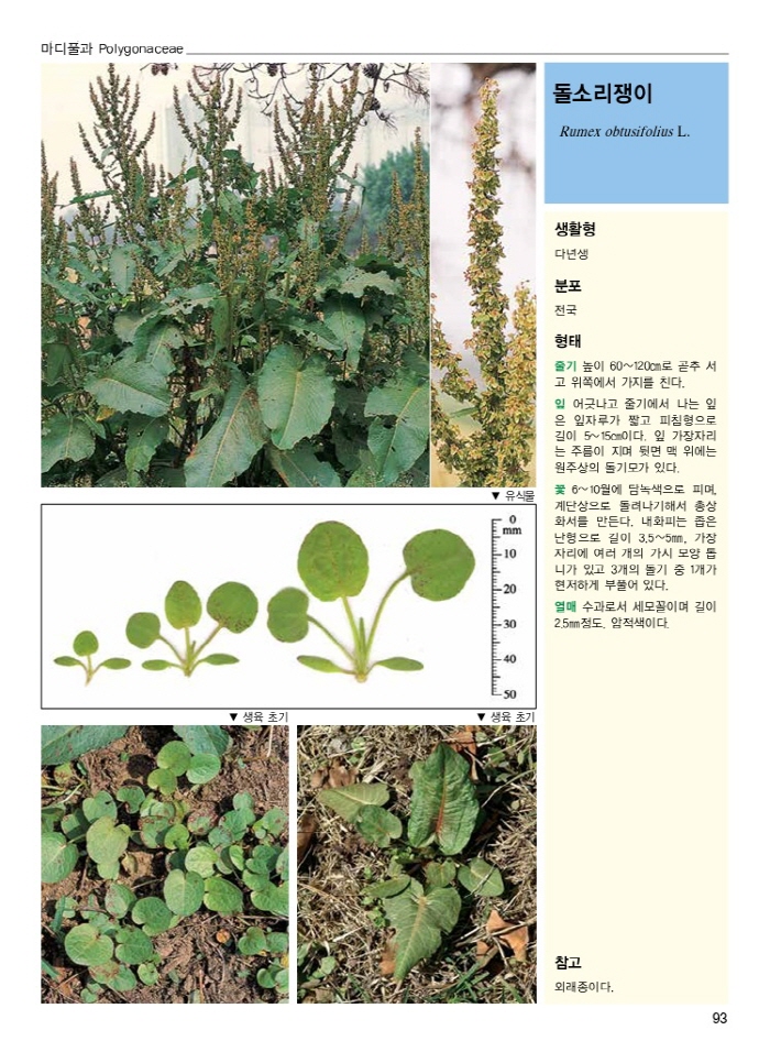 돌소리쟁이 – 한국잡초학회