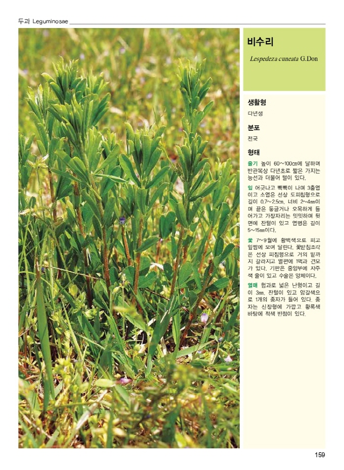 비수리 – 한국잡초학회